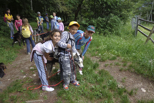 Vacances pour tous : colonie de vacances Vertaco des bois