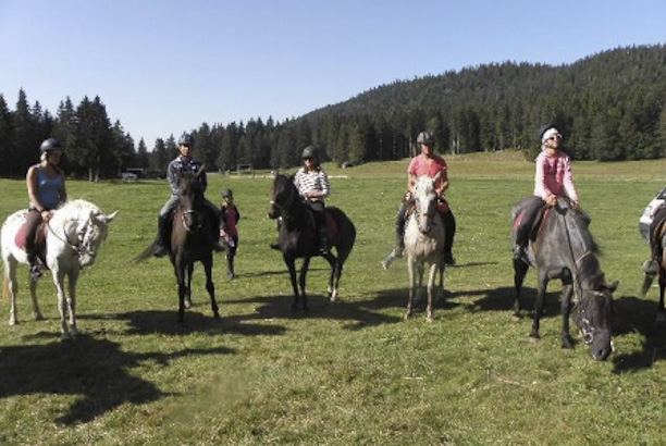 Vacances pour tous : colonie de vacances Vertaco'cheval
